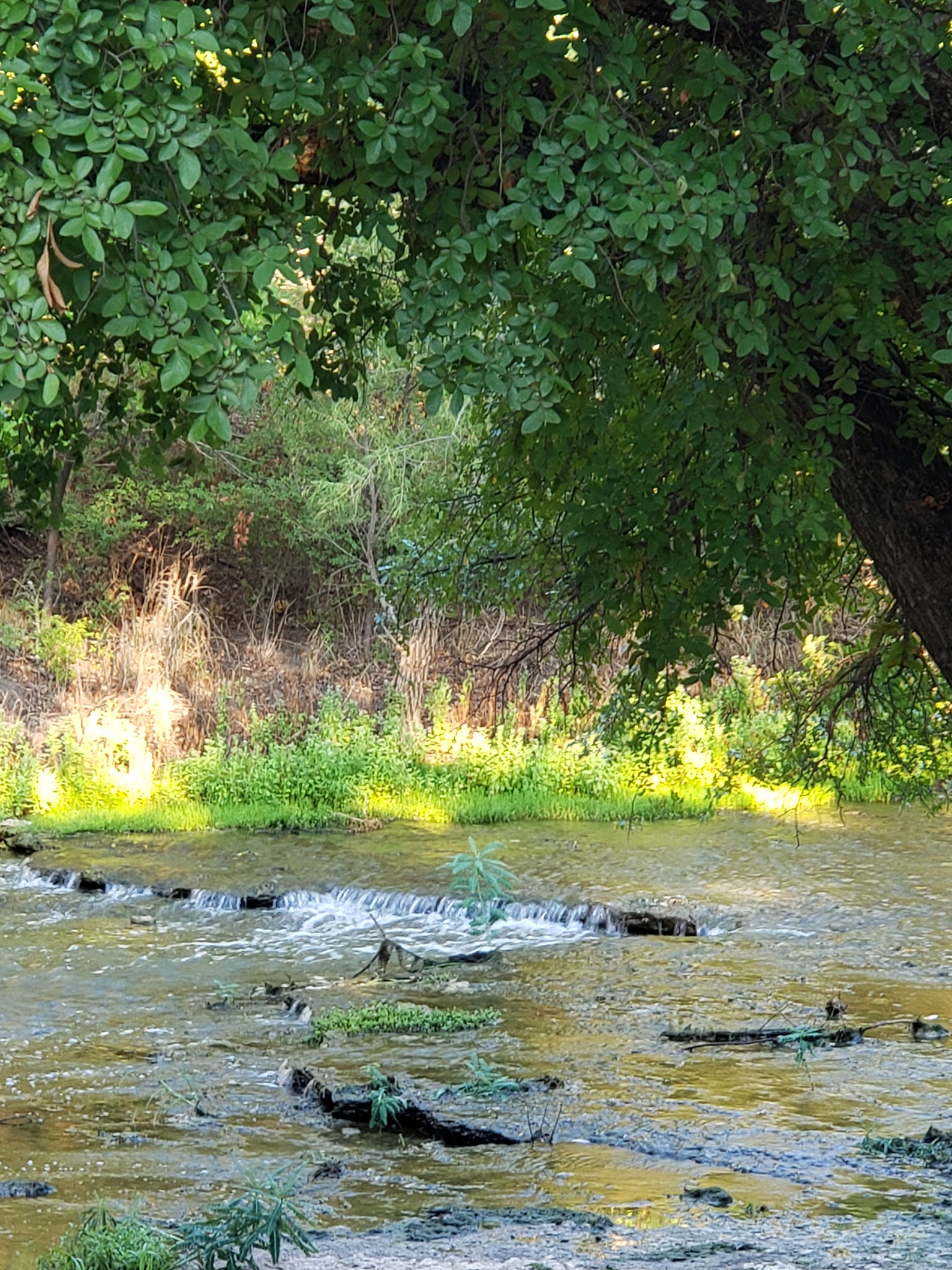 Winter 2023 Update | Tres Rios RV Resort